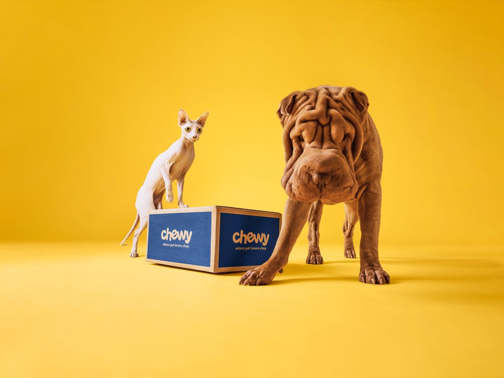 Inside Chewy's push to build a pet-focused retail media network